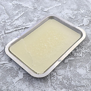 ULTECHNOVO 4pcs Wax Dissecting Tray Stainless Steel Thicken Dissection Pan Biological Equipment for Junior Senior School Laboratory