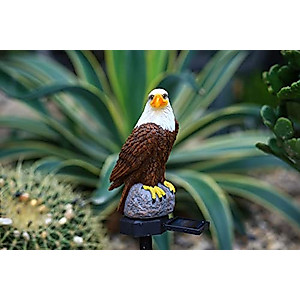 CHUANGFENG Eagle Figurine Garden Solar Stake Light Solar Eagle Lights Outdoor Decorative Bright Light Eagle Statue for Garden, Lawn,Patio,Yard Decoration (2pack