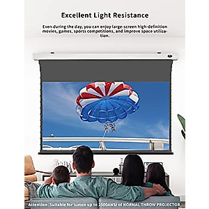 VIVIDSTORM-Projection Screen,Obsidian Long Focus ALR Slimline Motorized Office Presentation,Indoor Stand Movie Screen,Compatible with Lumen up to 2500ANSI Standard Throw Projector,VMSLALR120H
