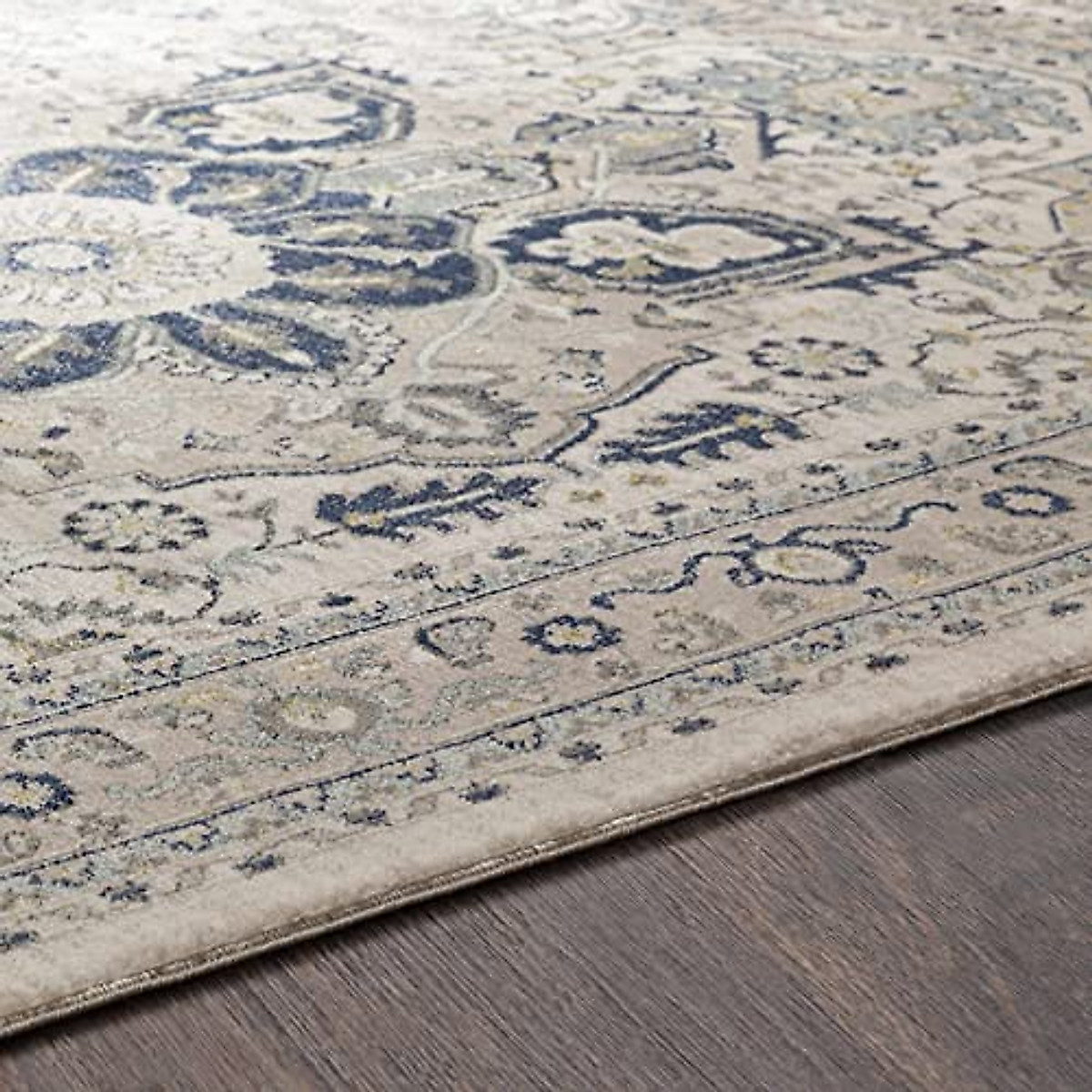 Canonsburg Traditional Persian Living Room Bedroom Area Rug - Bohemian Oriental Medallion Carpet - Blue, Grey, Beige, Brown - 7'10" x 10'2"