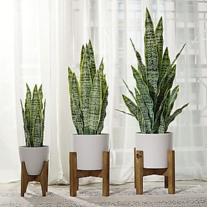 Auelife Artificial Snake Plants 2PCS 41-INCH Fake Snake Plants with Wood Stand Tall Faux Snake Plants (Extra Include 2PCS White Imitation Ceramic Pots) Perfect for Home Garden Office Store Decoration