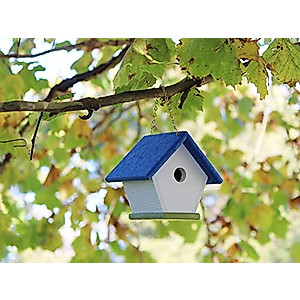 HomePro Garden Hanging Wren House: Brilliant Blue and Green Poly Lumber Bird House