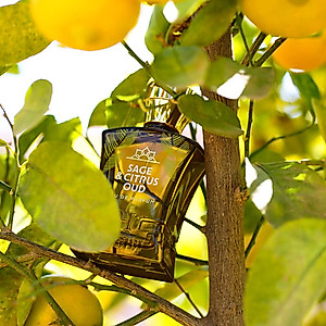 H HABIBI Sage & Citrus Perfume Oud Arabian Men's Cologne - Fresh & Woody Citrus Cologne for Men - Sage, Oud & Patchouli Perfume for Men - Eau de Parfum for Men - Blended with Rare Exotic Notes