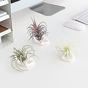 Dahey Air Plant Holder Cute Ceramic Mini Hand Shape Stand Airplants Tillandsia Small Container Pot Plant Decorative Home Decor for Desk Table Shelf,White,1 Pack
