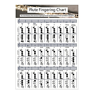 SYCOOVEN Flute Chord Chart, Portable Durable Flute Fingering Chart, White Chord Chart for Flute Fingering Practice, Chord Chart Beginner Student for Teaching or Group Study, Flute Accessories