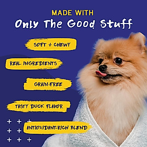 PupGrade Skin & Coat Chews - Omega-3 Coat + Shed Care + Allergy Defense - Soft, Chewable Supplement with Natural Fish Oils for Dogs - No Wheat, Corn, or Grains - Meat Flavored - 60 Soft Chews