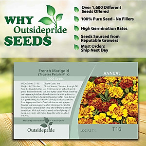 Outsidepride Tagetes Patula French Marigold Garden Flower Seed Mix - 1000 Seeds