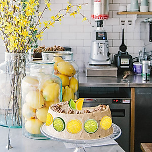 SNAIL GARDEN 30Pcs Artificial Lemon Slices Blocks, 20Pcs Simulation Lemon Slice+10Pcs Fake Lemon Block-Double Side Decorative Fake Fruit Model for Lemon Party Decor Vase Filler Tumbler Topper DIY