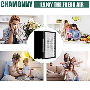 CHAMONNY IAF-H-100C Idylis C Replacement Filter Size C, Compatible with Idylis IAP-10-200, IAP-10-280 Air Purifiers, 2 H13 True HEPA Filters + 4 Activated Carbon Pre-filters