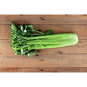 Gaea's Blessing Seeds - Celery Seeds - Tall Utah 52-70 Heirloom Non-GMO with Easy to Follow Instructions 89% Germination Rate Net Wt. 1.25g