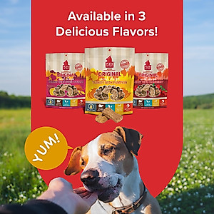 PLATO Turkey Real Strips Natural Dog Treats - Real Meat - Air Dried - Made in the USA - Turkey & Pumpkin, 3 ounces