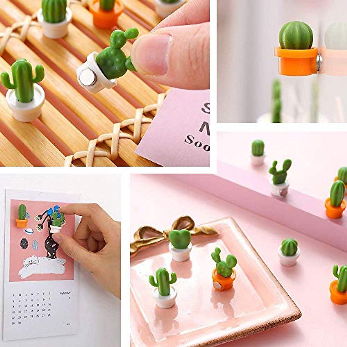 Fridge Magnet, 48 Pcs Refrigerator Magnets for Whiteboard, Cute Magnets Fridge, 6 Different Shaped Cactus Locker Magnets, Strong Fridge Magnets Fun Decorative Magnets for Fridge Kitchen Office