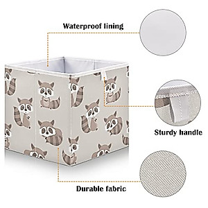 Cute Animals Raccoon Storage Baskets for Shelves Foldable Collapsible Storage Box Bins with Closet Organizers Cubes Decorative for Pantry Toys, Clothes, Books in Closet and Shelf,11 x 11inch