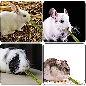 SOYANGNEK Hamster Chew Toys 12PCS Bunny Toys for Rabbits Guinea Pig Toys Natural Timothy Hay Sticks Chinchilla Toys for Teeth Handmade Bunny Treats Gift Apple Wood Sticks Hamster Rat Gerbil