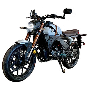 X-PRO Lifan KPM 200 Adult Motorcycle 200cc Gas Street Motorcycle Electric Fuel Injection 17HP 6 Speed made by Lifan(White)
