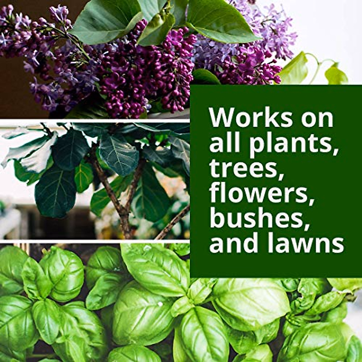 Humboldts Secret Set of A & B Liquid Hydroponics Fertilizer - World's Best Nutrient System – Hydroponic Nutrients for Outdoor, Indoor Plants – Supports Vegetative and Flowering Stages of Plants