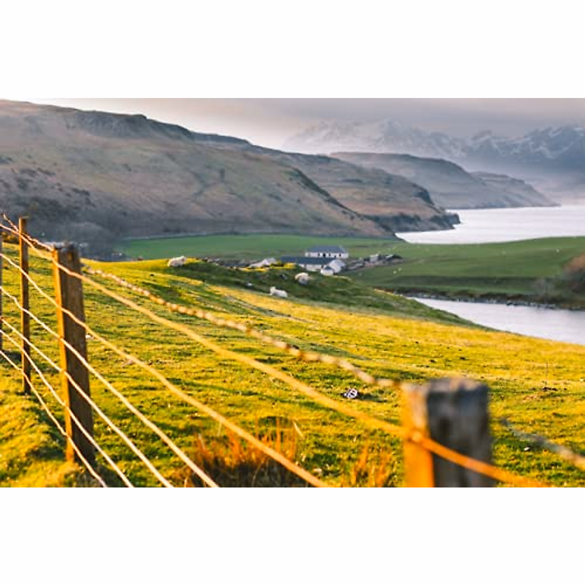 AgriOtter Electric Fence Energizer 20 Acre 2 in 1 Powered by Battery or AC Outlet 10000V 2J Pulse Electric