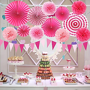 Cmaone Hotpink Party Decorations Pink Girls Paper Fan Birthday Baby Shower Tissue Pom Poms Streamers Bachelorette Party Supplies Tassel Garland Banner Wedding Decor