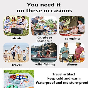 Yuyanbaobei Insulated Lunch Bag for Men and Women,(16.5 X 9 X 9 inch ) Lunch Box Water-resistant and Reusable, Insulated Lunch Box Soft Cooler Cooling Tote, for Lunch, Beach, and Picnic(Flamingo)