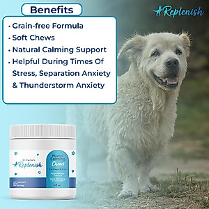 Replenish Hemp Calming Chews for Dogs and Cats - Dr. Rachel's Dog Calming Treats, Soothing Botanicals, Grain-Free, Anxiety Relief, Stress Support - 60 Count