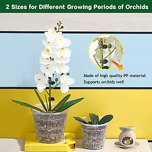 Tialero Orchid Pot, 12 Pack Orchid Pots with Holes, 5.5in and 4.5in Clear Orchid Pots for Repotting, Breathable Slotted Orchids Planter, Plastic Flower Plant Pot Indoor