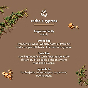 Method Men Body Wash, Cedar + Cypress, Paraben and Phthalate Free, 18 fl oz (Pack of 1)