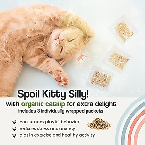 Cat Park Silvervine Sticks for Cats 5 Pcs, Natural Catnip Cat Chew Toys for Indoor Cats Teeth Cleaning, Aggressive Chewers, Kitten Teething Matatabi Chew Stick Cat Toys, Silvervine for Cats Dental Toy