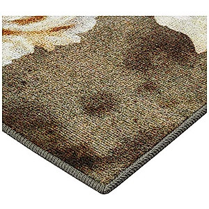 Brumlow Mills Pearl Grey Floral Study by Pamela Gladding Decorative Rug for Kitchen, Entryway Rug, Living Room or Bedroom Carpet, 2'6" x 3'10"