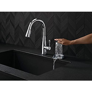 Delta Faucet Glass Rinser for Kitchen Sinks, Kitchen Sink Accessories, Bar Glass Rinser, Chrome GR150