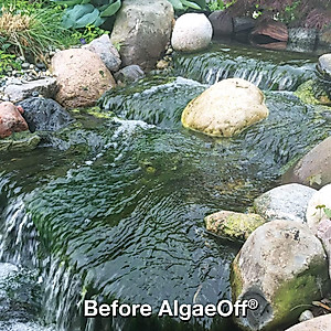 CrystalClear AlgaeOff Pond Algae Control Treatment, for Cleaner & Clearer Pond Water, EPA Registered Algaecide Treatment, Safe for Use in Ponds Containing Fish and Plants, Treats 1000 sq, 2.5 lbs
