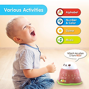BEST LEARNING Whack and Learn Mole - Educational Interactive Light-Up Toy for Infants Babies Toddlers for 6 Month and up - First Baby Boy or Baby Girl Birthday Gift
