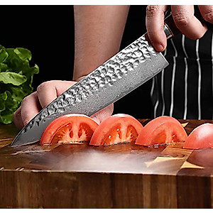 wonhag Damascus Chef Knife Professional VG10 Stainless Steel Cleaver Damascus 8 Inch Chef Knife Brown Handle Gift Box