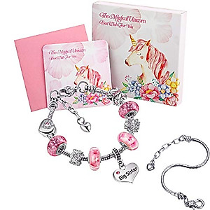 Hicarer Big Sis Gift Shiny Bracelet Crystal Charm Bangle Jewelry Wristband with Gift Box Set for Hers Lady(Pink Butterfly)