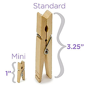 100-Pack Minipins | Miniature-Sized Rustic Wooden Clothespins for Scrapbooking, Crafts, Decoratng and Organizing