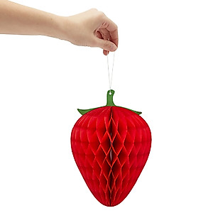 Honeycomb Fruit Party Decorations for Twotti Fruity 2nd Birthday, Tropical Summer Luau (12 Pieces)