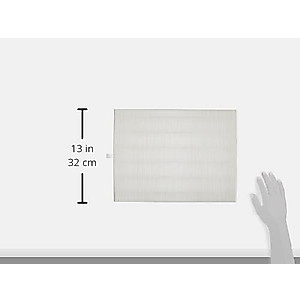 Winix 1712-0093-00 Air Purifier Replacement Filter T, for HR900, White