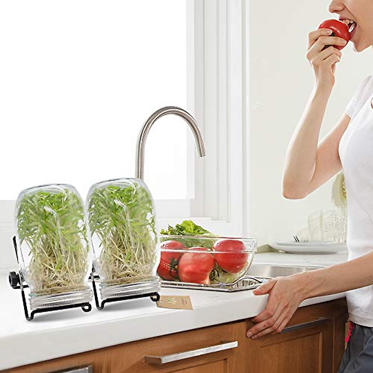 LIVEBAY Sprouting Jar Kit Stainless Steel Kitchen Sprouting Lids and Stands Seed Sprouter Set Organic Healthy Fresh 1L Wide Mouth Mason Jar for Broccoli, Alfalfa, Mung Beans