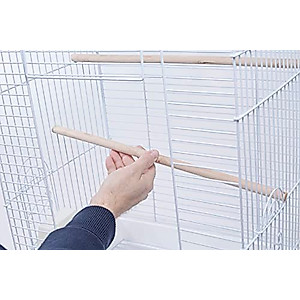 PENN-PLAX Cockatiel & Small Parrot Starter Kit with Birdcage, Cover, and Accessories – Great for Cockatiels, Conures, and Small Parrots – Square Dome – White