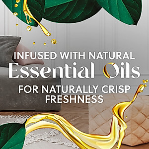 Air Wick plug in Scented Oil Warmer, White, 1 Count, Essential Oils, Air Freshener