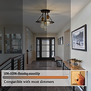 WTL Vintage Edison Light Bulb 6W(60 Watt Equivalent) 2700K Soft White,Dimmable,ST19（ST58） LED Filament Bulb,Clear Glass Light Bulb E26 Medium Base,600LM(6 Pack)