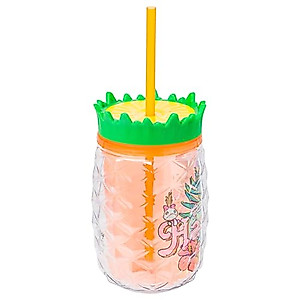 Silver Buffalo Disney Lilo and Stitch Greetings From Hawaii Featuring Scrump Pineapple Shaped Double Wall Tumbler, 16 Ounces