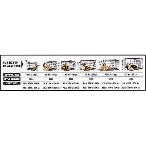 Precision Pet Products Two Door Provalue Wire Dog Crate, 48 Inch, For Pets 90-125 lbs, With 5-Point Locking System