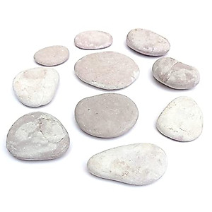 Capcouriers Rocks for Painting - Painting Rocks - Rocks for Rock Painting - 10 Rocks