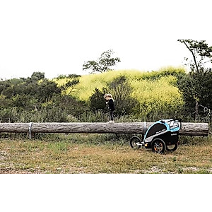 Burley D'Lite X, 2 Seat Kids Bike Trailer & Stroller