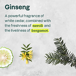 ATTITUDE 2-in-1 Body Wash and Hair Shampoo, EWG Verified Shower Gel, Dermatologically Tested, Made with Naturally Derived Ingredients, Vegan Personal Care, Ginseng and Grapeseed Oil, 16 Fl Oz