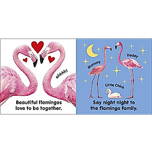 Baby Touch and Feel Flamingo