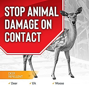 Deer Stopper II, Liquid Animal Stopper Repellent, All Natural, Effective All Year Round, Safe for People and Pets, No Harsh Chemicals, Ready to Use, Deer & Elk Repellent - 32 oz. Hose End