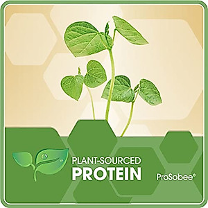 Plant based Baby Formula, 12 Concentrated Liquid Cans (13 Fl Oz each), Enfamil ProSobee for Sensitive Tummies, Soy-based, Plant Sourced Protein, Lactose-free, Milk free