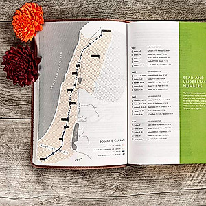 CSB She Reads Truth Bible, Rose Gold LeatherTouch, Black Letter, Full-Color Design, Wide Margins, Journaling Space, Devotionals, Reading Plans, Single-Column, Easy-to-Read Bible Serif Type