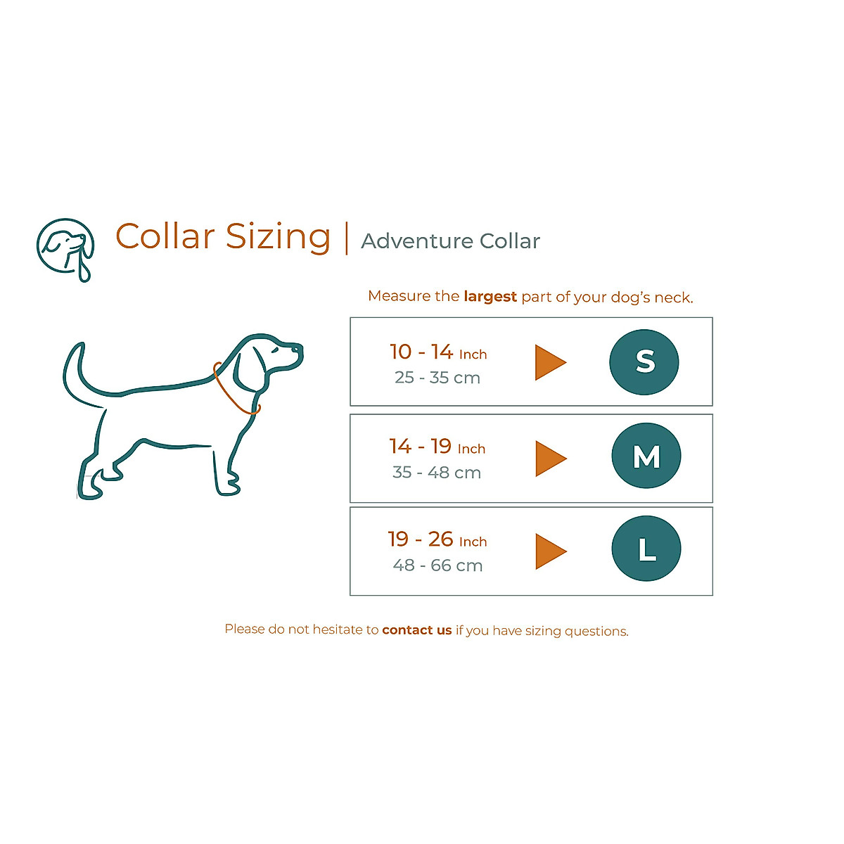 Embark Adventure Dog Collar with Soft Padded Neck, Matching Set with The Adventure Leash and Harness, Pet Collars for Dogs & Most Breeds - Dog Collar for Small Dogs (Small Dog Collars, Black)